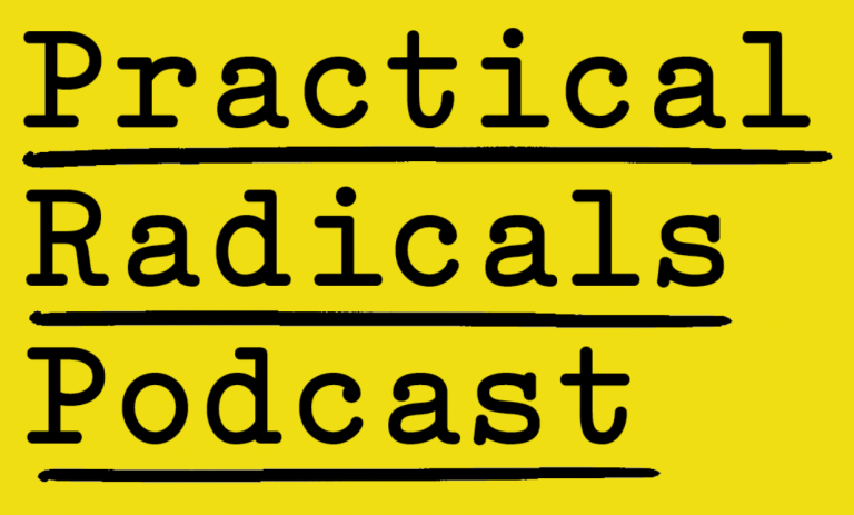 Practical Radicals: Seven Strategies to Change the World